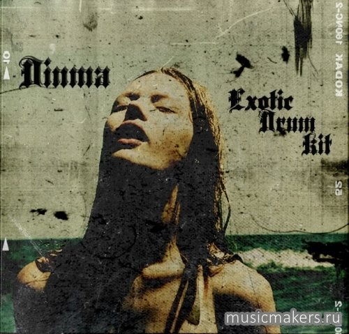 Dinma - Official Exotic Drumkit (WAV) - сэмплы ударных » Сайт для ...