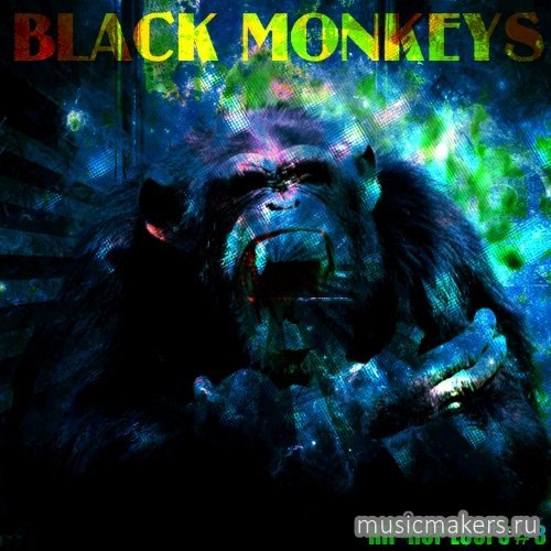 Black Monkeys - Black Monkeys - Hip-Hop loops # 3 (WAV) - сэмплы hip ...