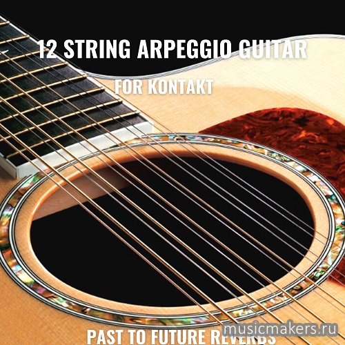 Past to Future Reverbs - 12 String Arpeggio Guitar (KONTAKT) - сэмплы ...